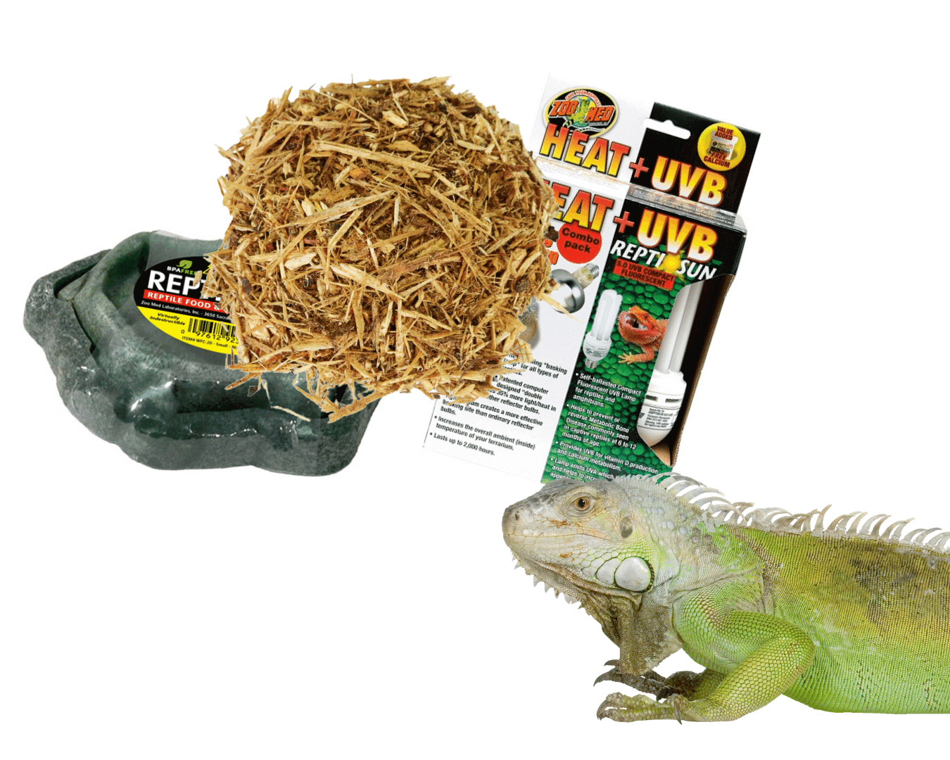 For Lizards – IMPERIAL REPTILES & EXOTICS