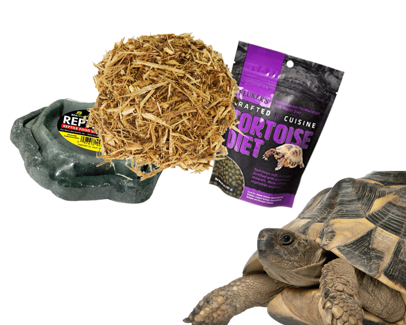 For Tortoises – IMPERIAL REPTILES & EXOTICS