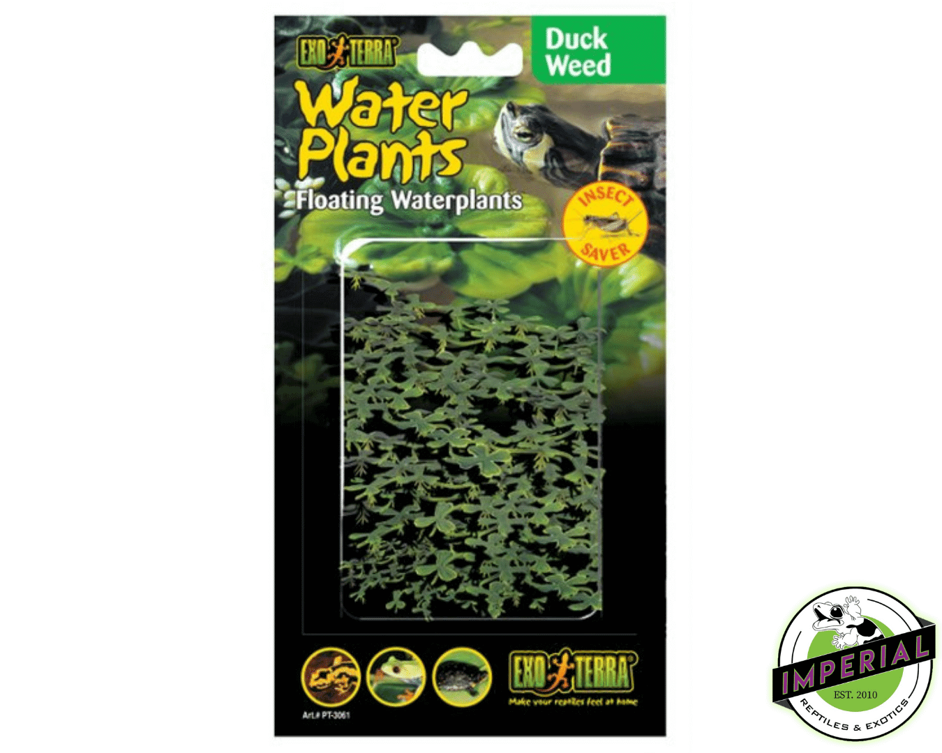 Water Plants Duck Weed For Sale - Imperial Reptiles – IMPERIAL REPTILES ...